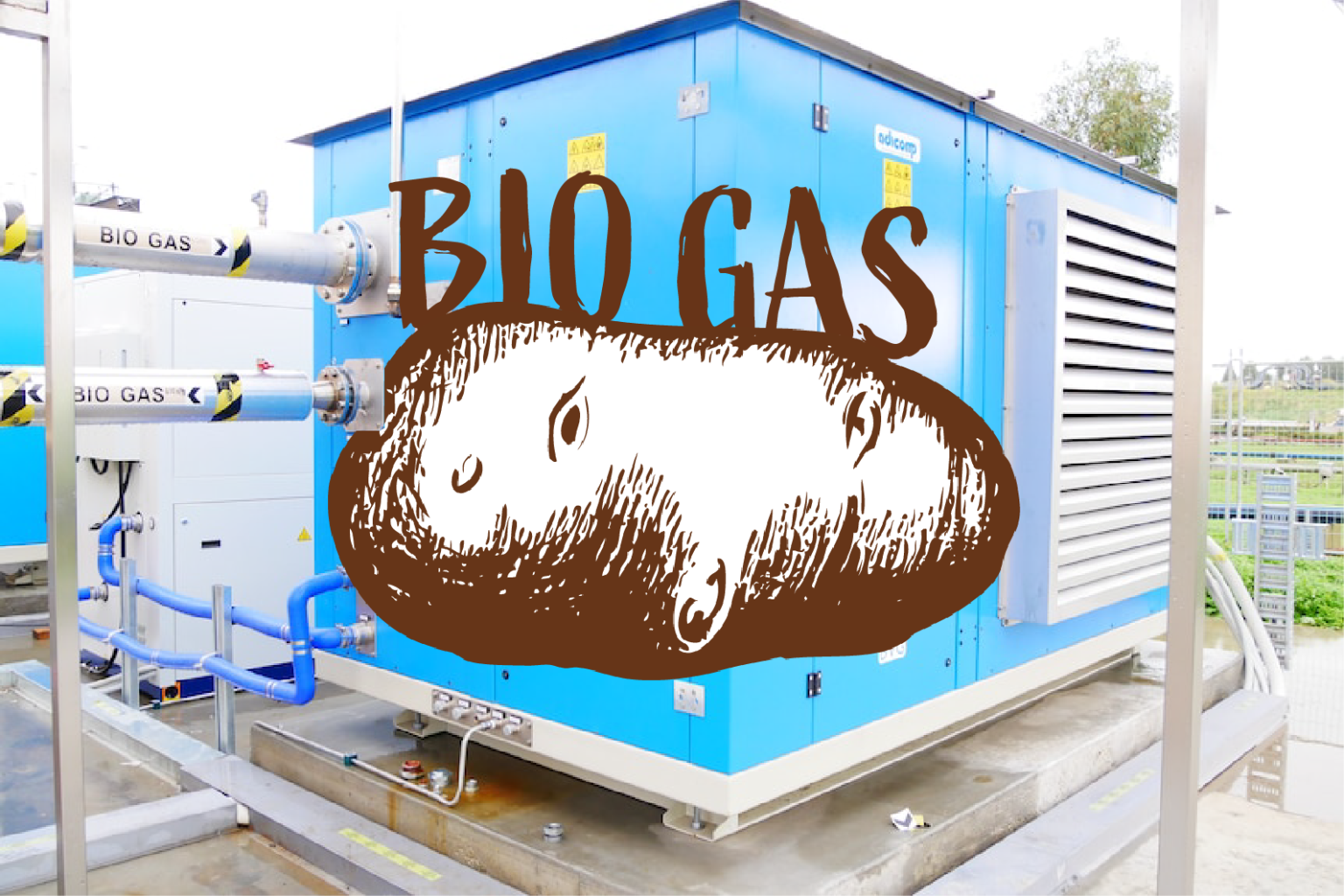 McCain: Turning Food Waste into Biogas to Save Earth